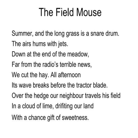 Field Mouse | PPT