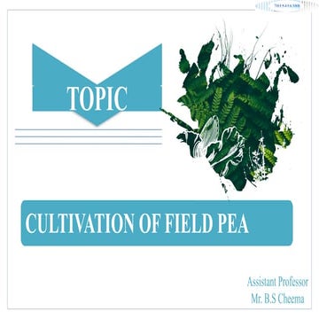 Presentation on Field Pea Field pea (Pisum sativum).pptx