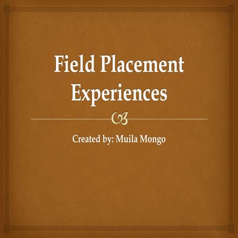 Field placement experiences | PPTX