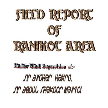 Field report | PDF