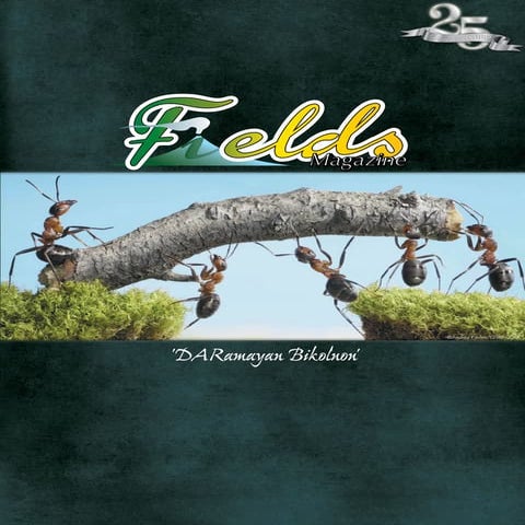 Fields Magazine DAR Region V | PDF