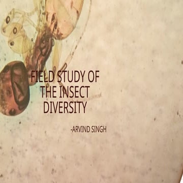 study of the insect diversity in Delhi.pptx
