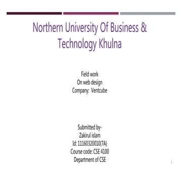 Field work presentation on web designing. | PPT