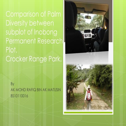 Fieldwork Presentation Pptx