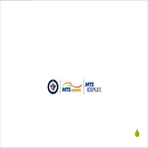 Fieldwork Presentation Pptx