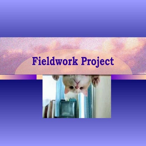 Field Work Project 3240 And 3500cap | PPT