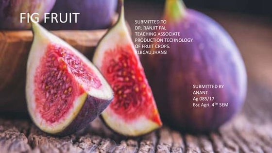 Turkish Dried Figs : Processing Stages | PPT