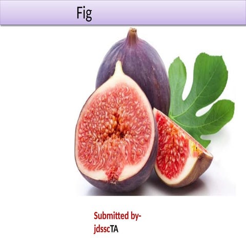 Dragon_Fruitproductionandharvest4444.pptx