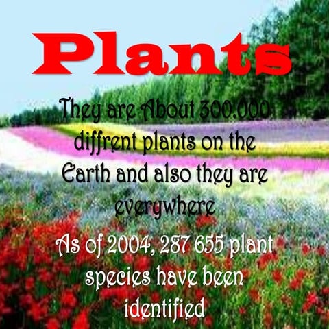 Plants | PPT