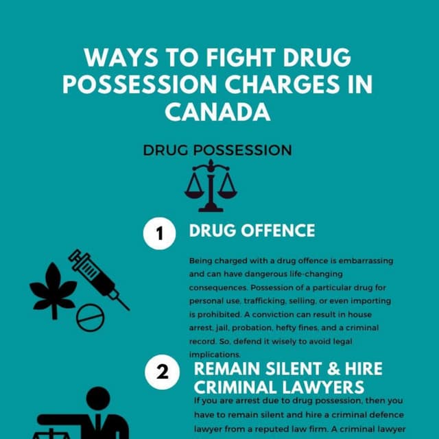 Fighting drug possession charges in canada | PDF