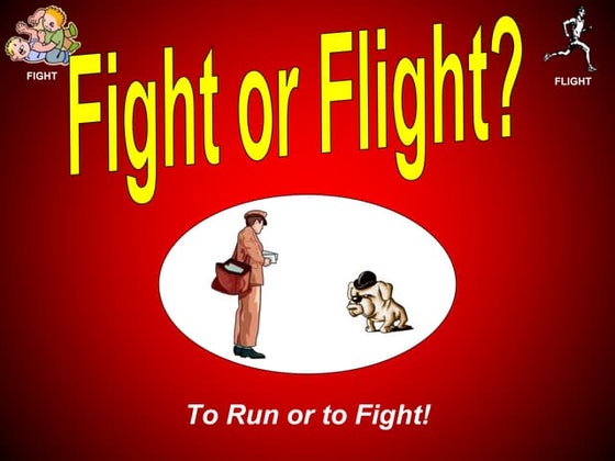 Fight or flight response summary sheet | DOCX | Brain and Nervous ...