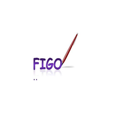 Figo pens | PPTX | Human Resources | Business