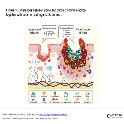 Figure.pptxfyytytyrrytrtytrttttrrttyyyyuuu | PPTX