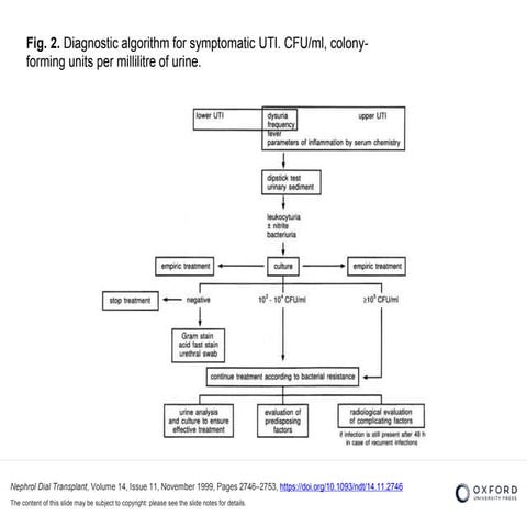 Diagnosis of UTI - up to date content 2024 | PPTX