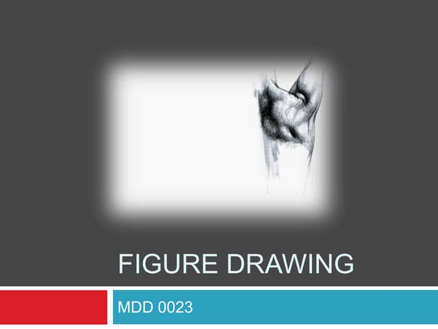 Figure Drawing Basics | PDF