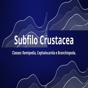 SUBFILO CRUSTACEA: Remipedia, Branchiopoda e cephalocarida.pptx