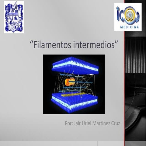 Filamentos intermedios | PPTX