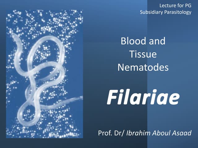 Filariasis | PPTX | Infectious Diseases | Diseases and Conditions