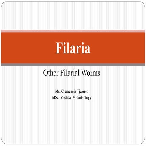Other Filarial Worms | PPTX | Infectious Diseases | Diseases and Conditions