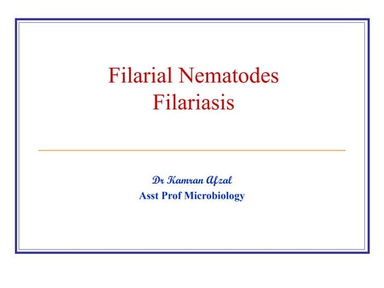 Classification of Microfilaria | DOCX | Infectious Diseases | Diseases ...