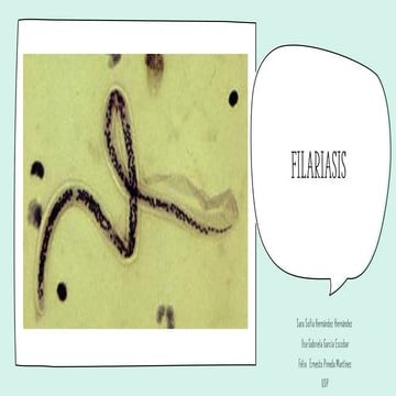 filariasis.pdf