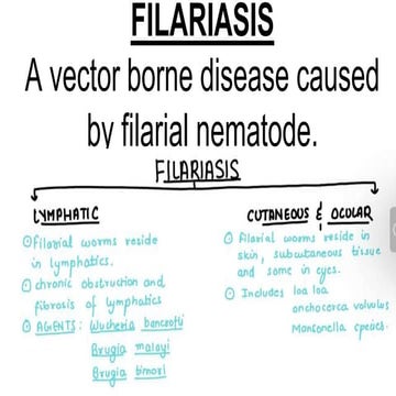 Filariasis.pptx