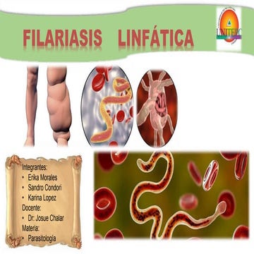 Filariasis-linfatica 2.pptxtodo sobre la | PPTX