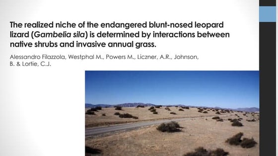 Wind & Wildlife: Management implications of individual variability in ...