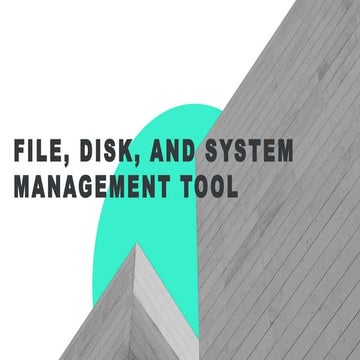File-Disk-and-System-Management-Tool.pptx