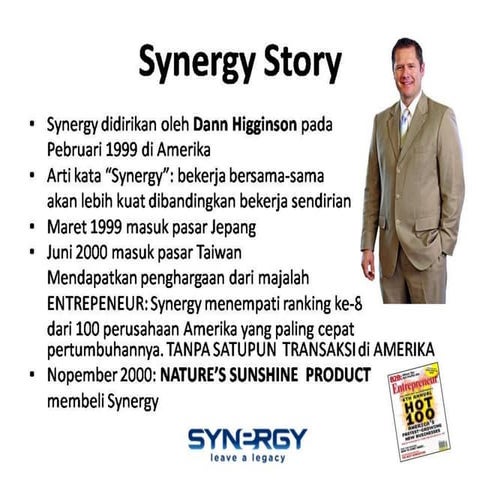 Company Profile of Synergy | PDF