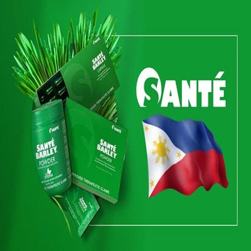 file_733a02dgua_SPP-2024.pdf file presentation | PDF