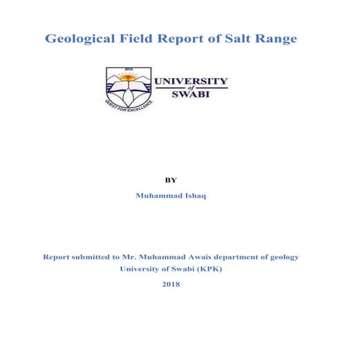 Filed report of salt range | PDF
