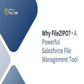 What is FileZIPO? A Powerful Salesforce File Management Tool | PDF
