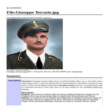 Giuseppe Torcasio: WWII Italian forces | PDF