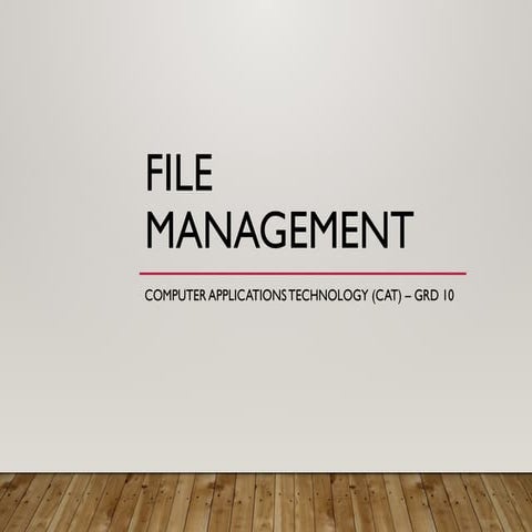 File_Management_Presentation_Orange.pptx