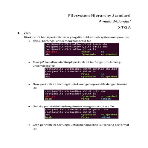 Filesystem hierarchy standard | PDF
