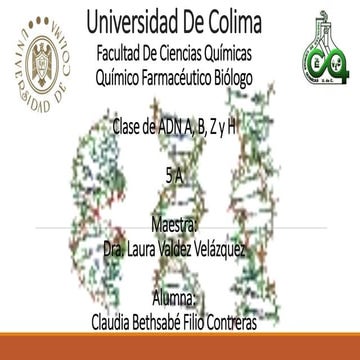 Clase de ADN A, B, Z y H | PPTX
