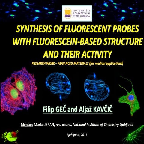 SYNTHESIS OF FLUORESCENT PROBES WITH FLUORESCEIN-BASED STRUCTURE AND THEIR ACTIVITY; Filip Geč ...