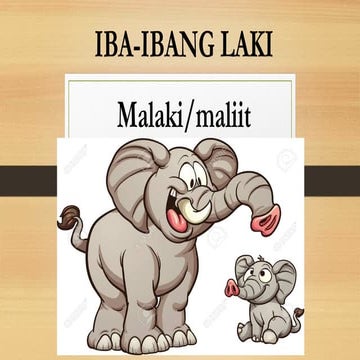 Nursery Filipino Subject (FILIPINO-IBA'T IBANG LAKI).pptx