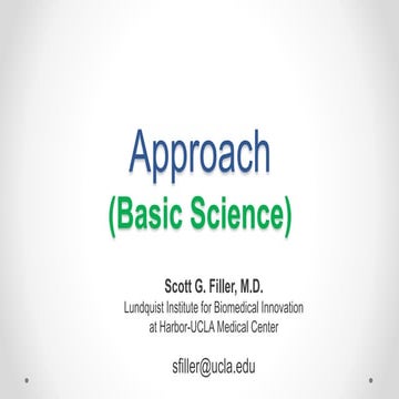 How to Structure the “Approach” Section (Basic Science) | PPT