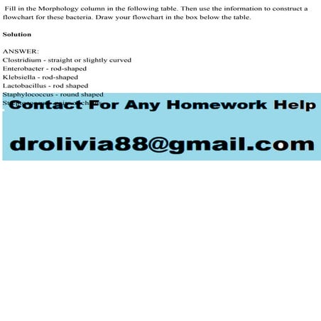 Fill in the Morphology column in the following table. Then use the in.pdf