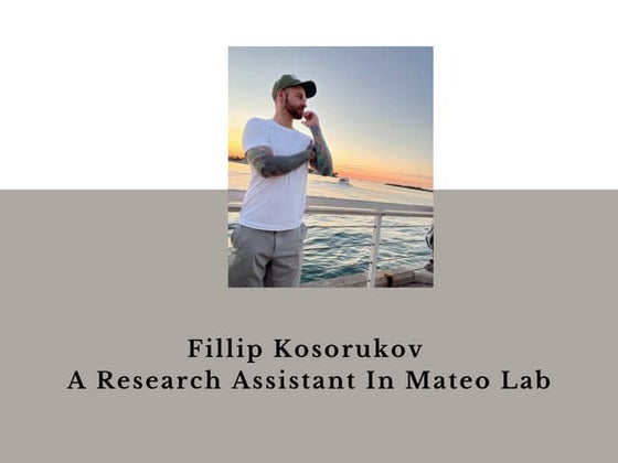 A Brief Introduction About Fillip Kosorukov | PPT