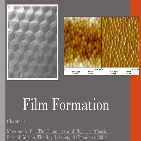 Piant Film formation | PPTX