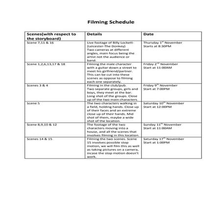 Filming and editing schedule | DOCX