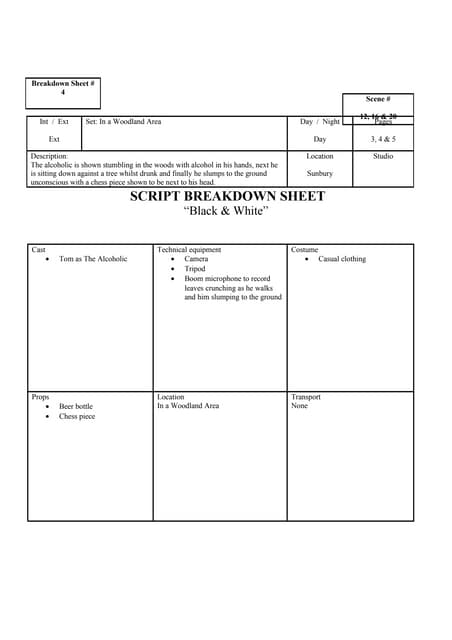 Filming Planning Sheet (4) | PDF