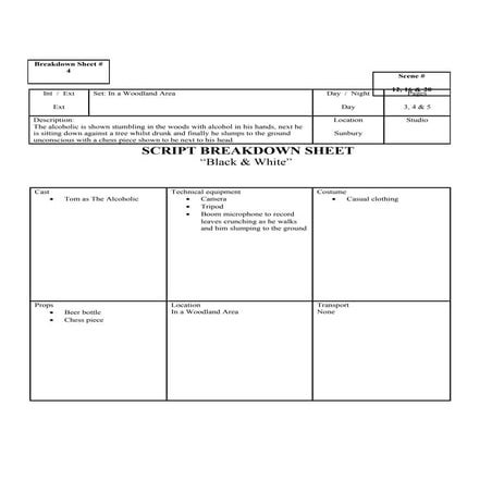 Filming Planning Sheet (4) | PDF