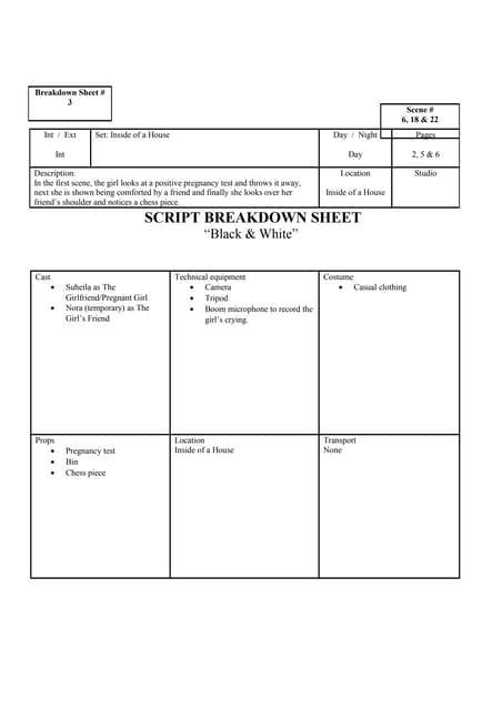 Filming Planning Sheet (4) | PDF