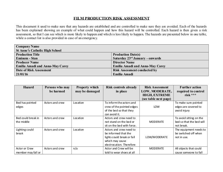 Film production risk assessment