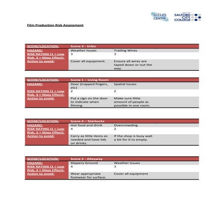 Film production risk assessment | DOCX