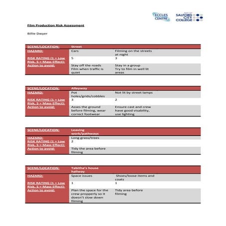 Film production risk assessment | DOCX